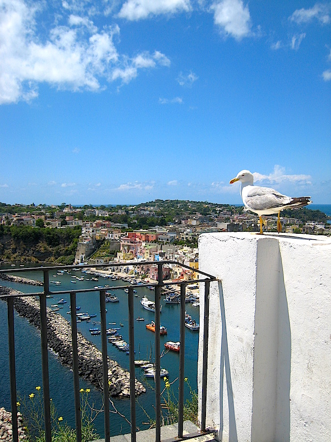 Procida - die schöne, unbekannte Insel im Golf von Neapel