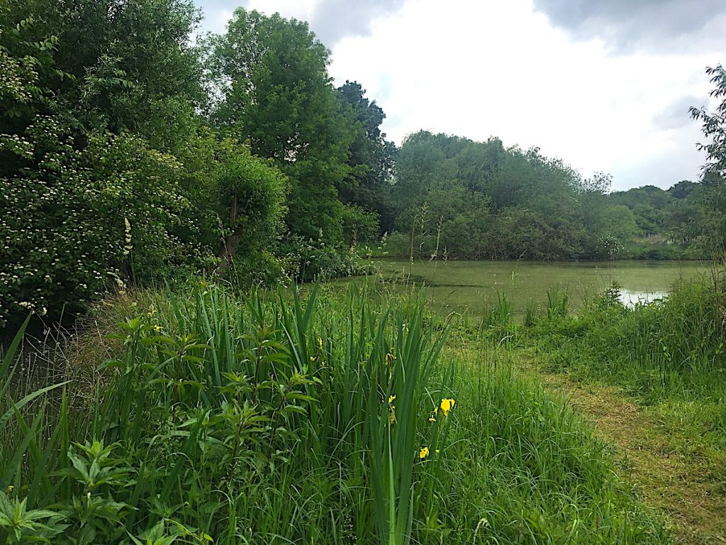 Der Erft-Radweg – dem Fluss so nah