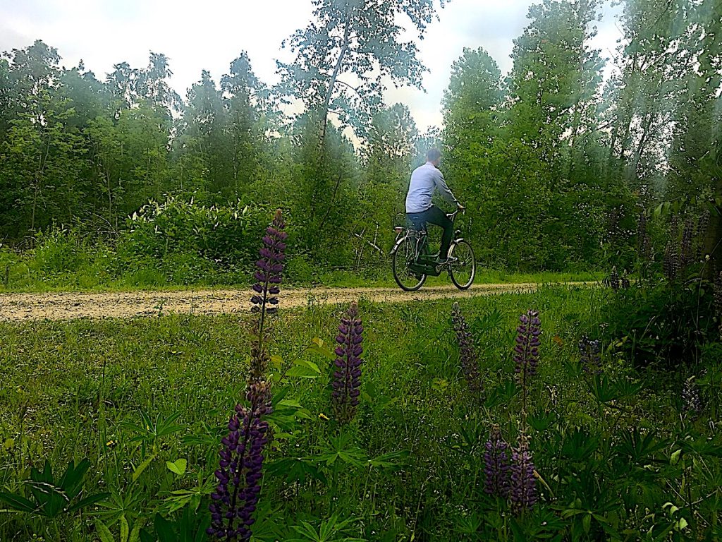 Die 5 schönsten Radwege in Nordrhein-Westfalen