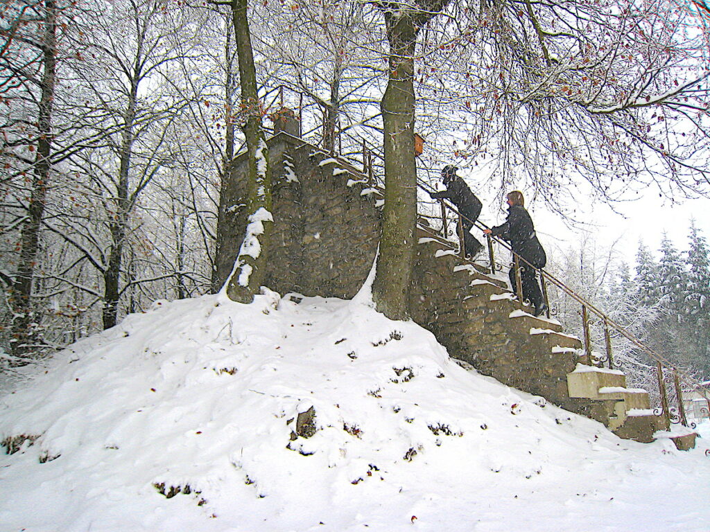 Naturpark Hohes Venn – Winter in der Eifel & Ostbelgien