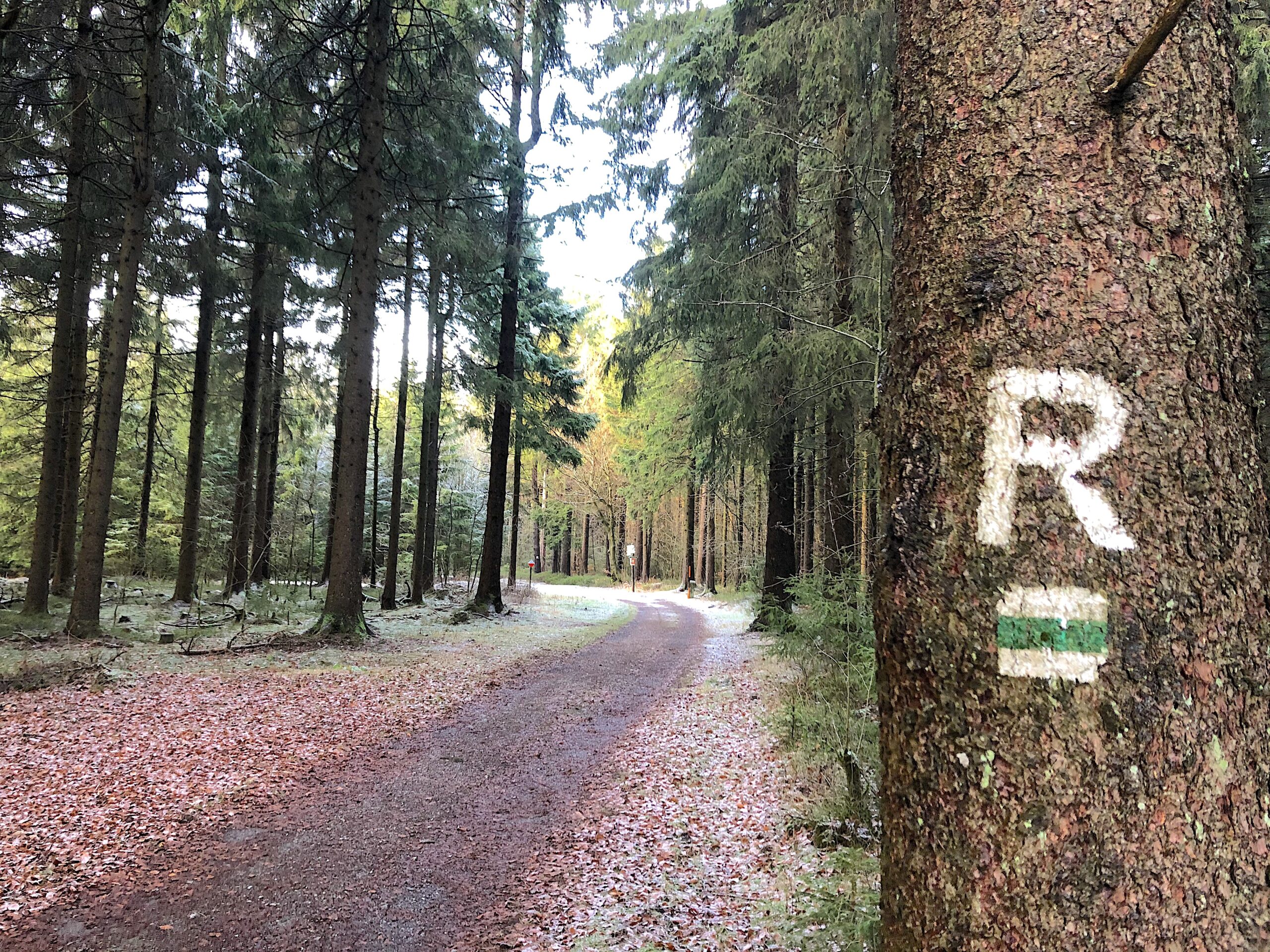 Der Rennsteig im Winter – drei besondere Highlights