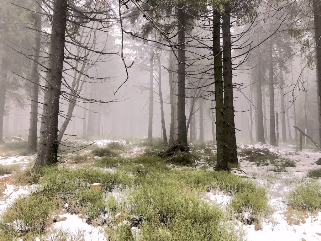 Der Rennsteig im Winter – drei besondere Highlights