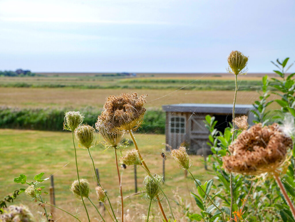 Pellworm - 11 Sehenswürdigkeiten und 7 Geheimtipps