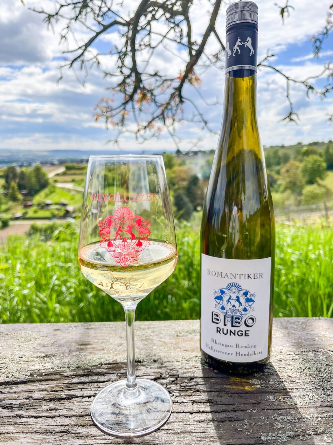Weinreise ins Rheingau - 15 Tipps für die Schlemmerwochen